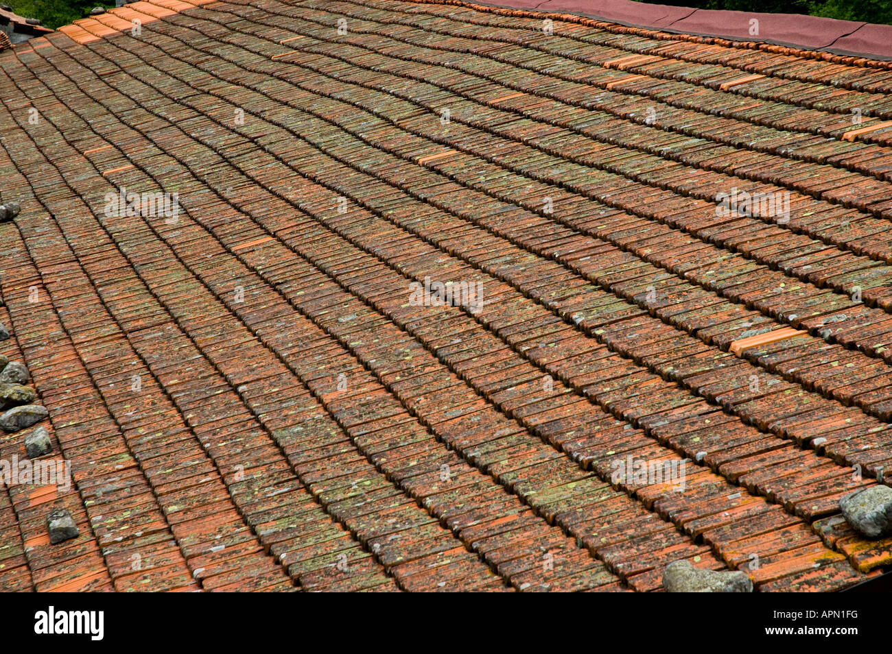 Traditional italian roof tiles hi-res stock photography and images - Alamy