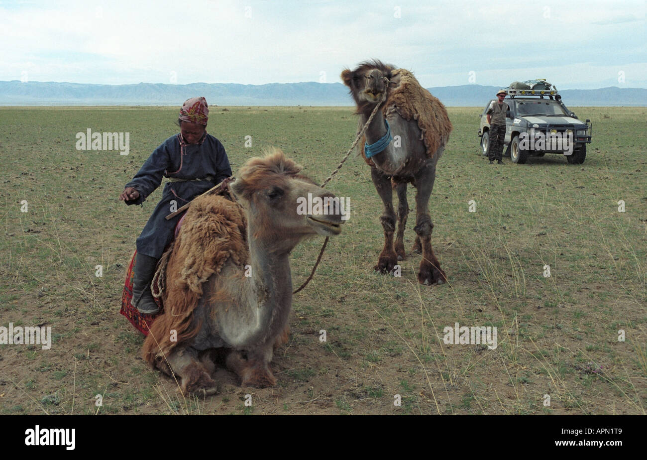 Mongolian woman riding on camel and off-road vehicle. Boorog Deliin Els ...