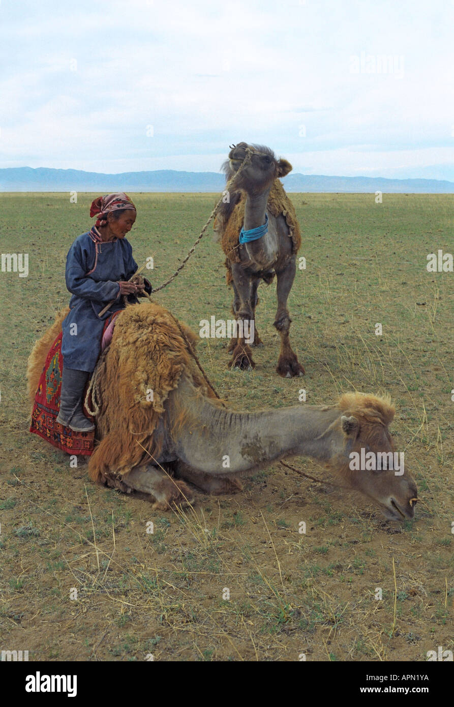 Portrait of woman riding on camel. Boorog Deliin Els Desert. Uvs aimag ...