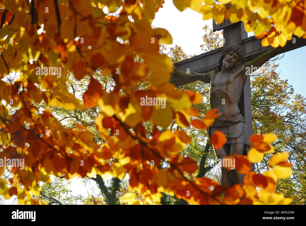 cemetry, clubs, cross, crux, rood, crucifix, cemetry, germany ...