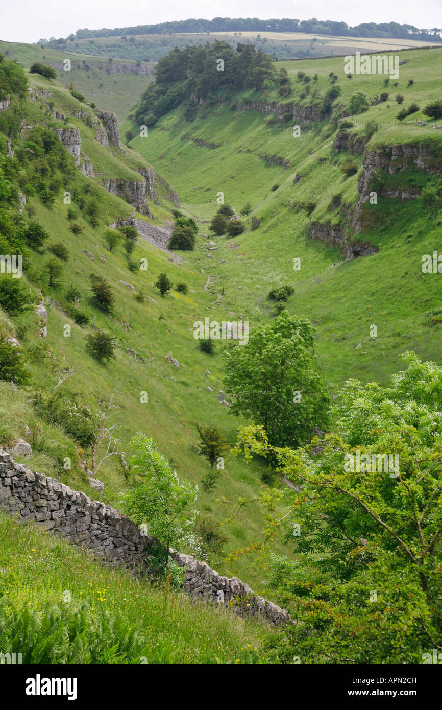 Upper reaches of Lathkill Dale from Ricklow Dale in the Derbyshire Peak ...