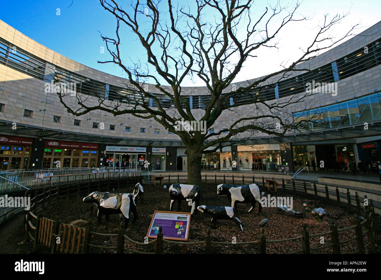 midsummer place shopping mall Milton Keynes town centre Buckinghamshire ...