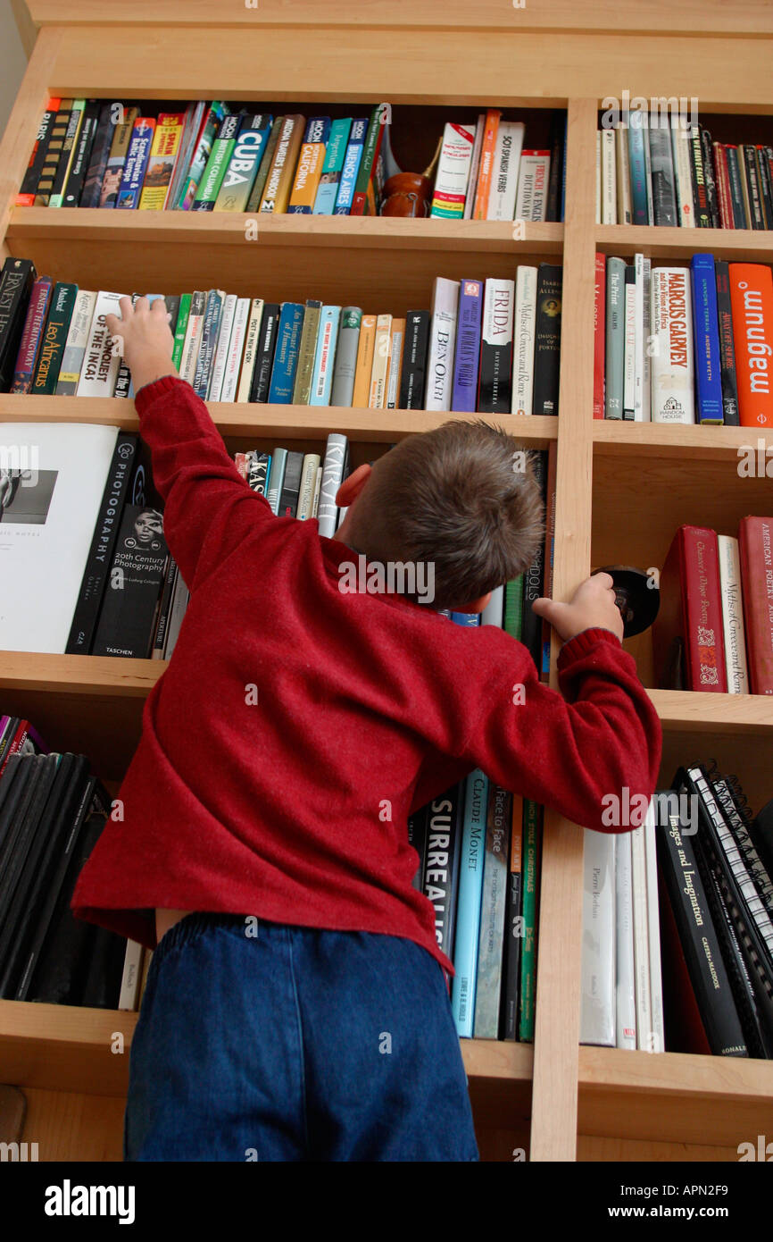 Boy reaching up shelf hi-res stock photography and images - Alamy Boy reaching up shelf hi-res stock photography and images - Alamy