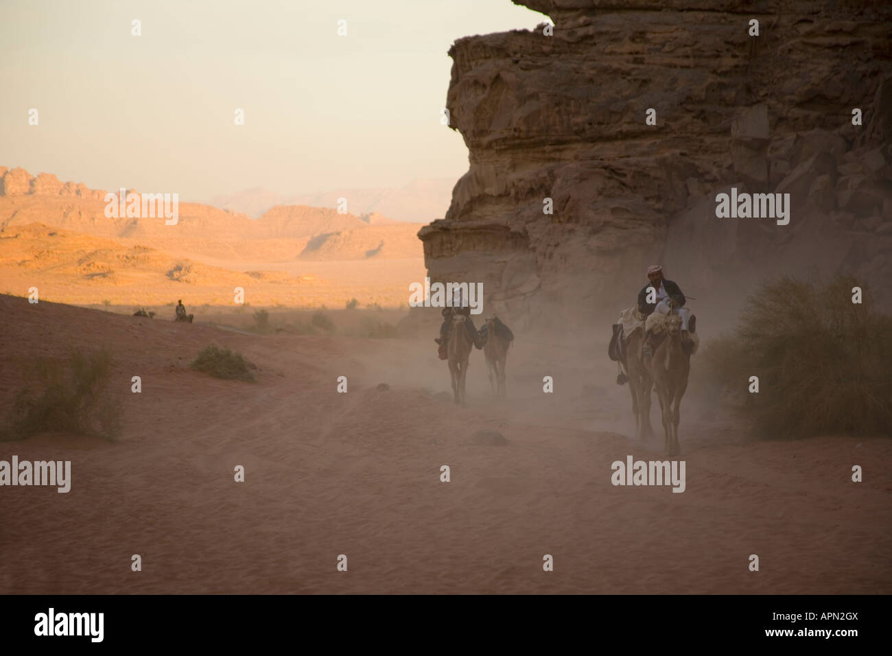 Camel Ride, Wadi Rum, Petra, Jordan Stock Photo - Alamy