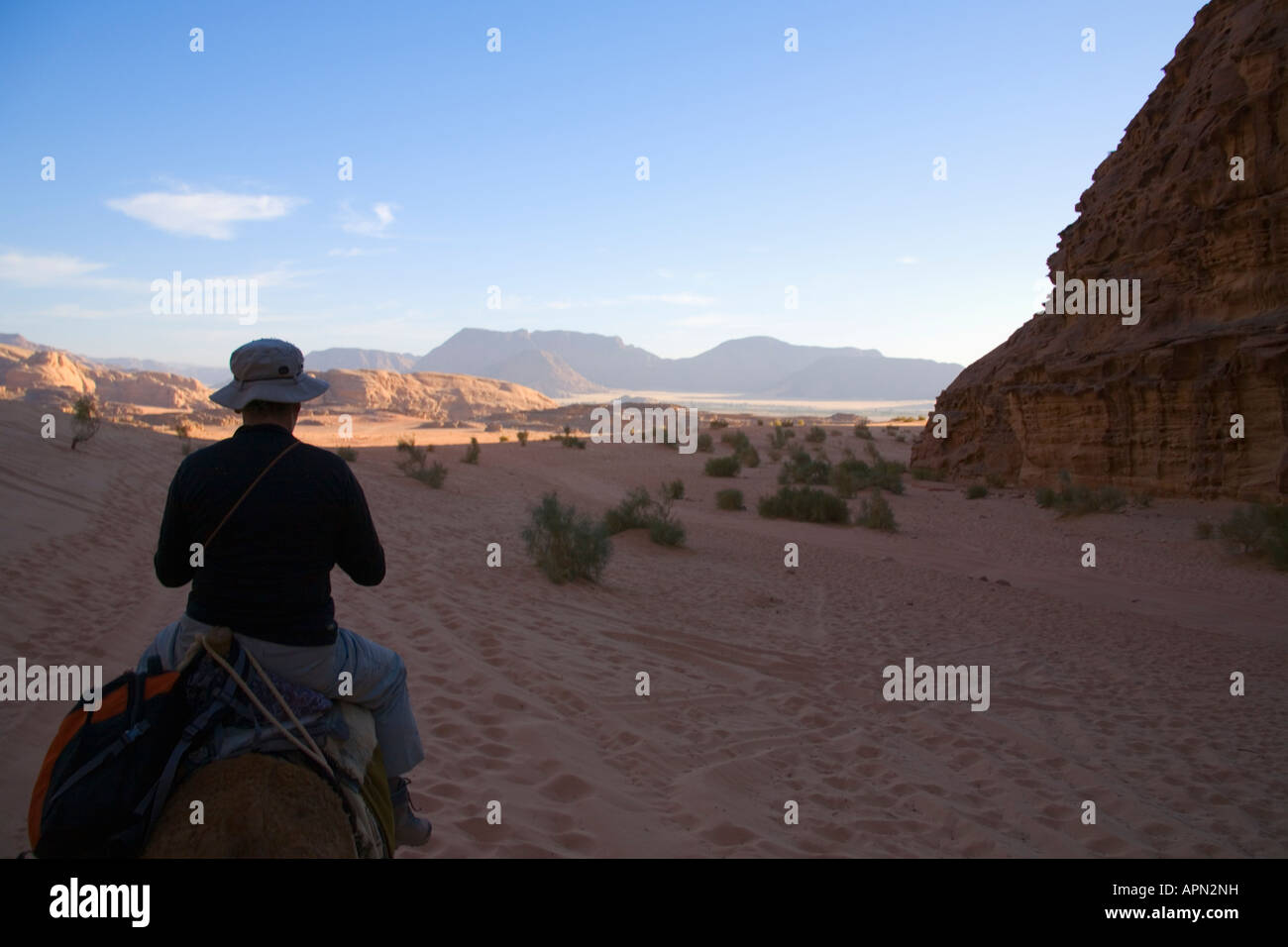 Camel Ride, Wadi Rum, Petra, Jordan Stock Photo - Alamy