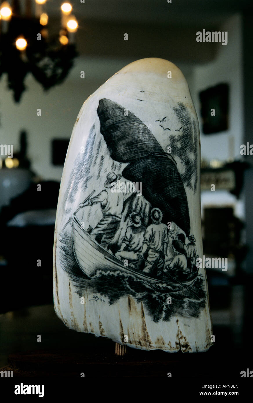 Scrimshaw hi-res stock photography and images - Alamy