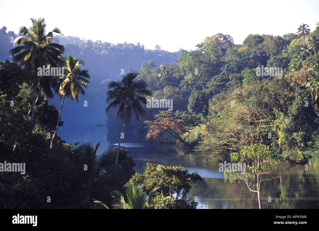Mahaweli river hi-res stock photography and images - Alamy