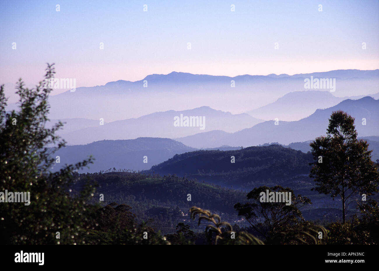 SRI LANKA. Dawn in the central hill country at Kandapola near Nuwara ...