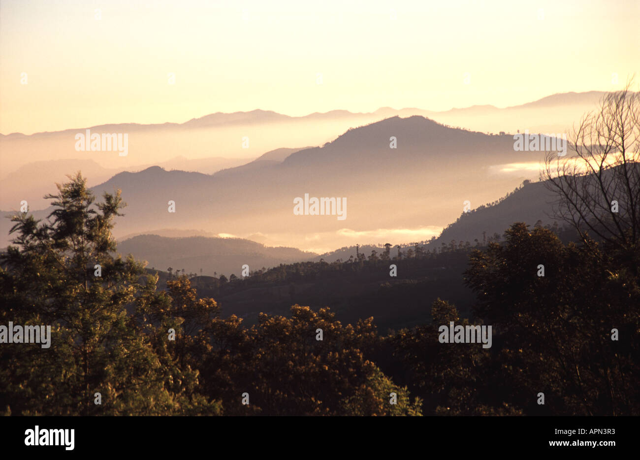 SRI LANKA. Dawn in the central hill country at Kandapola near Nuwara ...