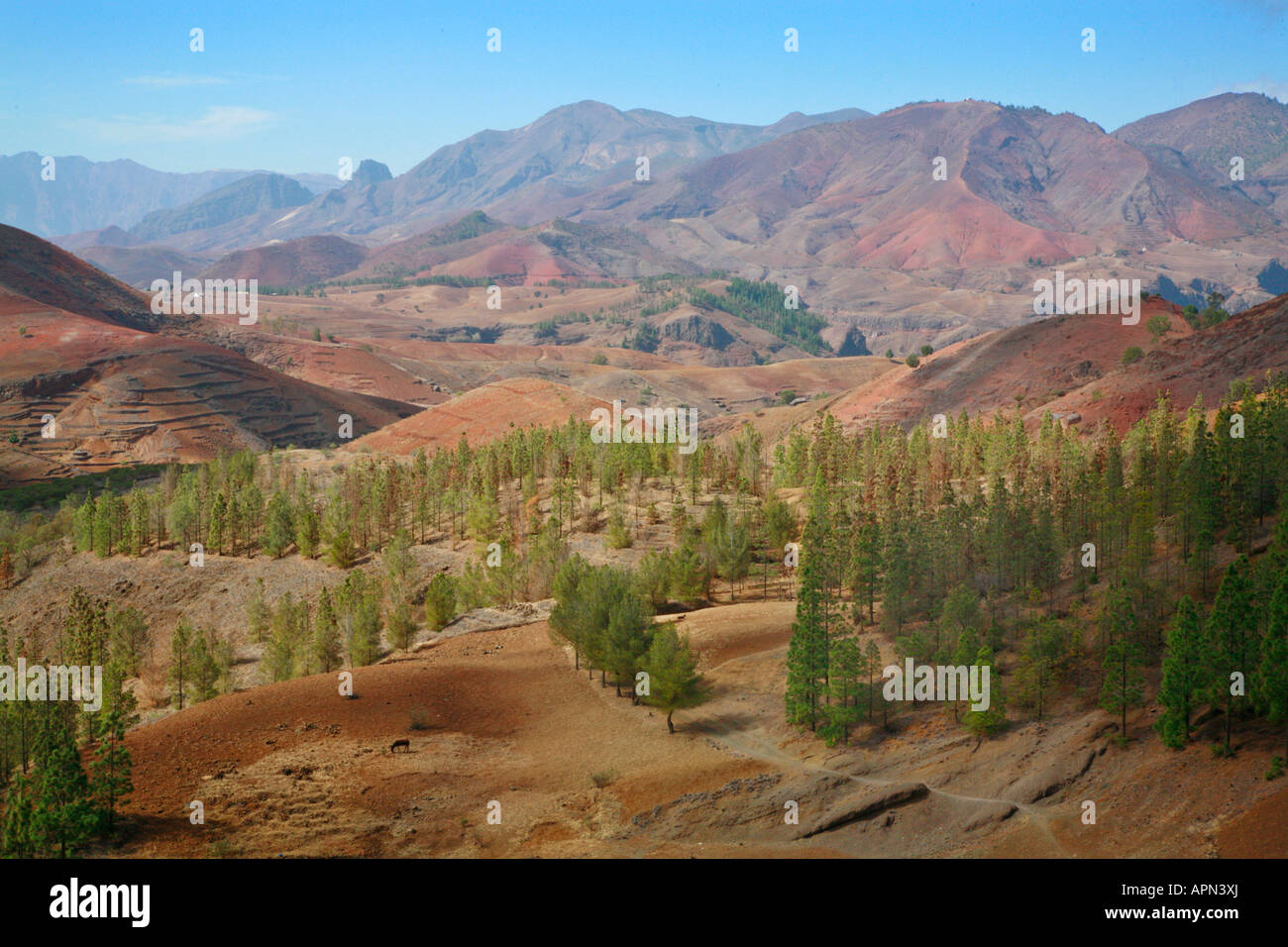 Antoa hi-res stock photography and images - Alamy