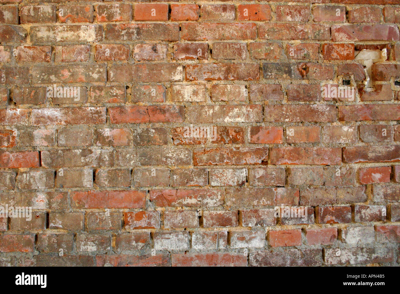 Brickword hi-res stock photography and images - Alamy