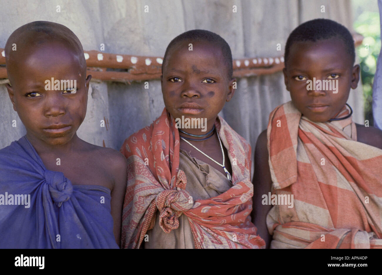 Maasai girls outside their home in Aru Meru District, Tanzania Stock ...