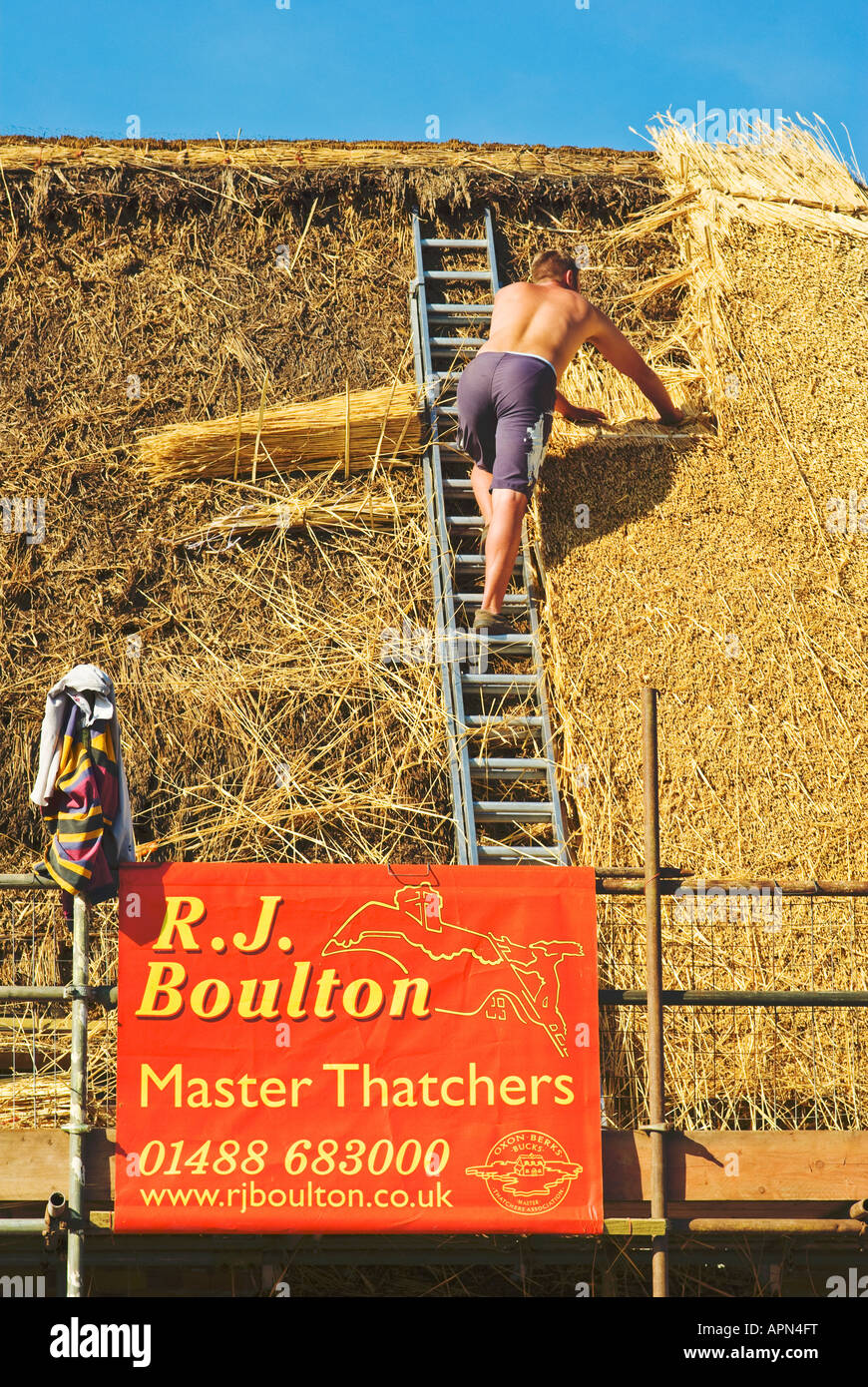 English thatcher at work in Hungerford Berkshire UK Stock Photo - Alamy