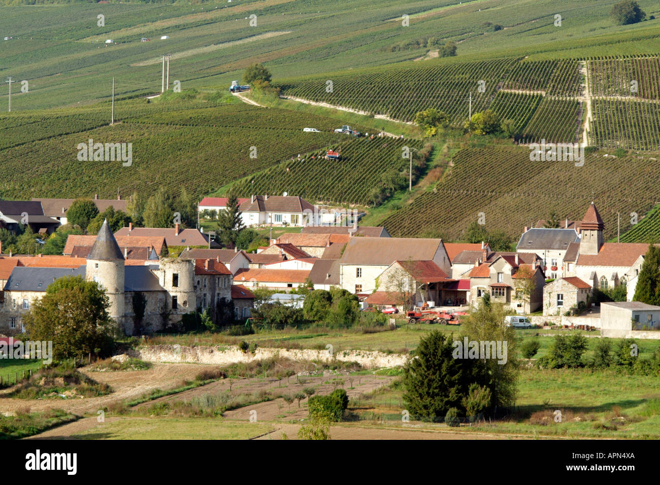 Chatillon sur marne hi-res stock photography and images - Alamy
