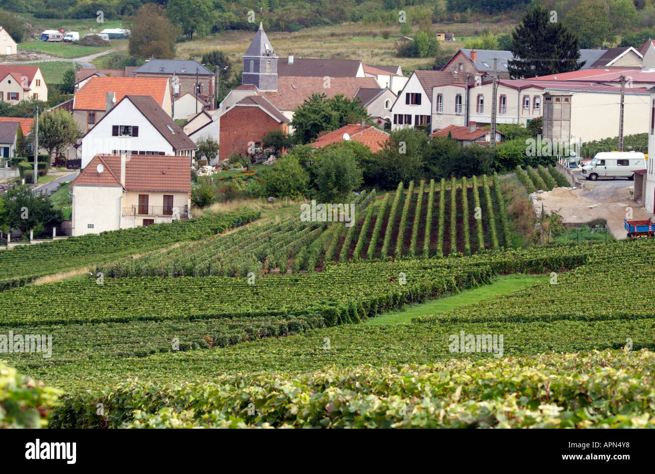 Champagne growing area village hi-res stock photography and images - Alamy