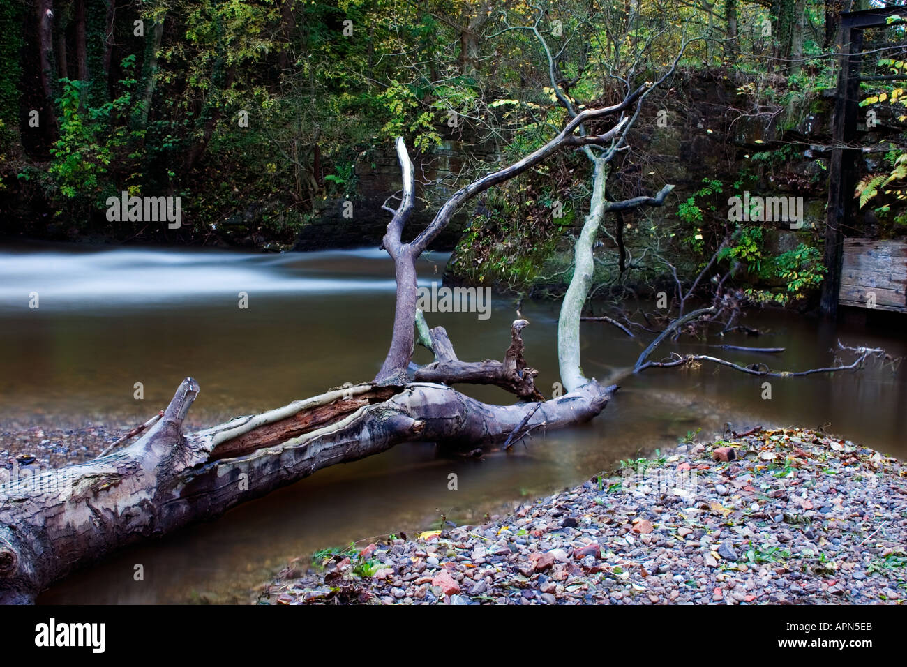 Mill race hi-res stock photography and images - Alamy
