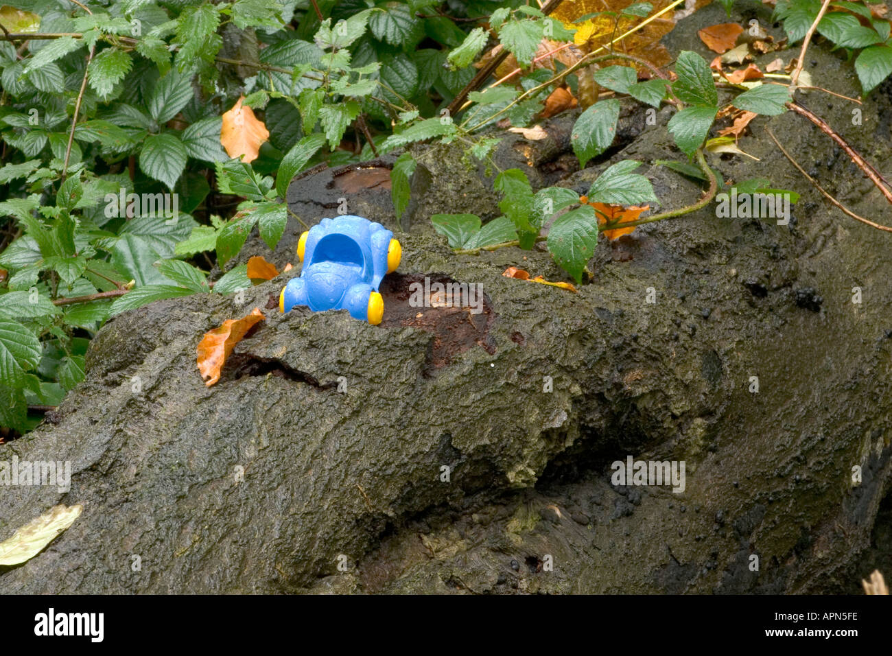 Left of tree hi-res stock photography and images - Alamy