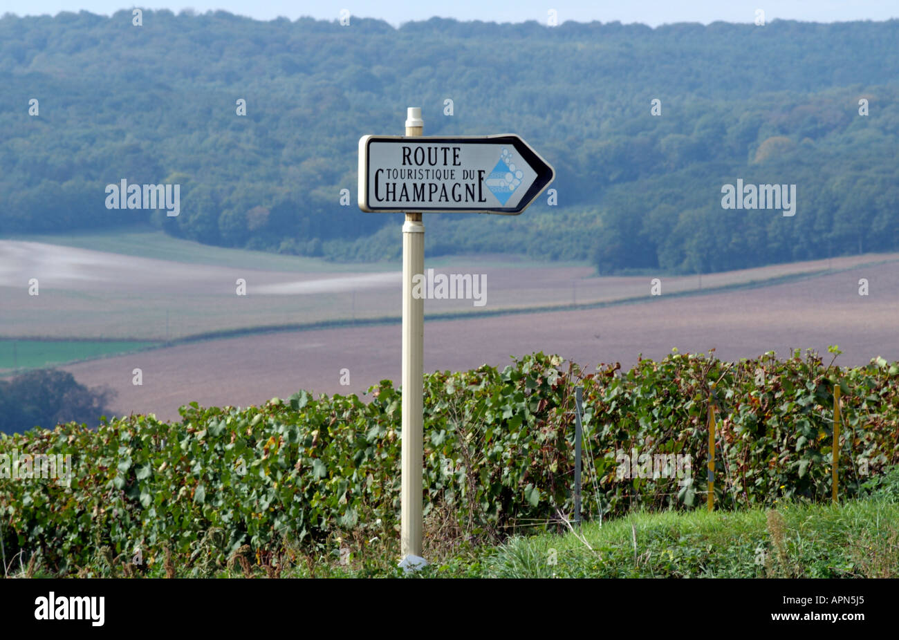 Tourist Champagne route around the wine producing region of Reims and ...