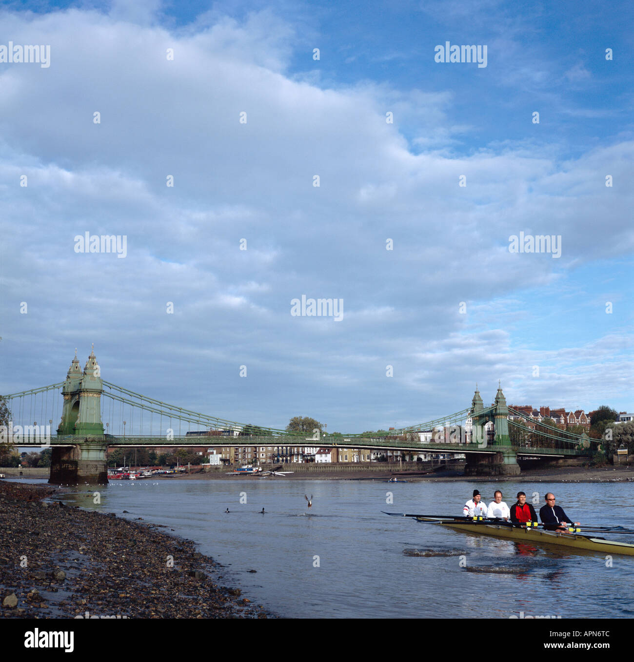 scullers, rowers, with Hammersmith bridge in the back ground Stock ...
