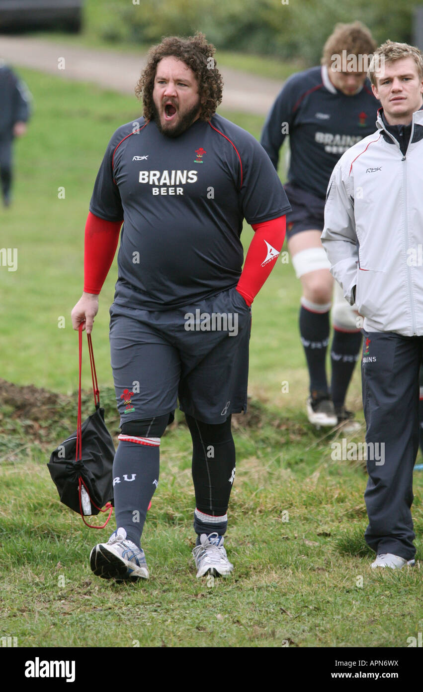 Welsh Rugby Union Training Ground Hensol Vale of Glamorgan South Wales ...