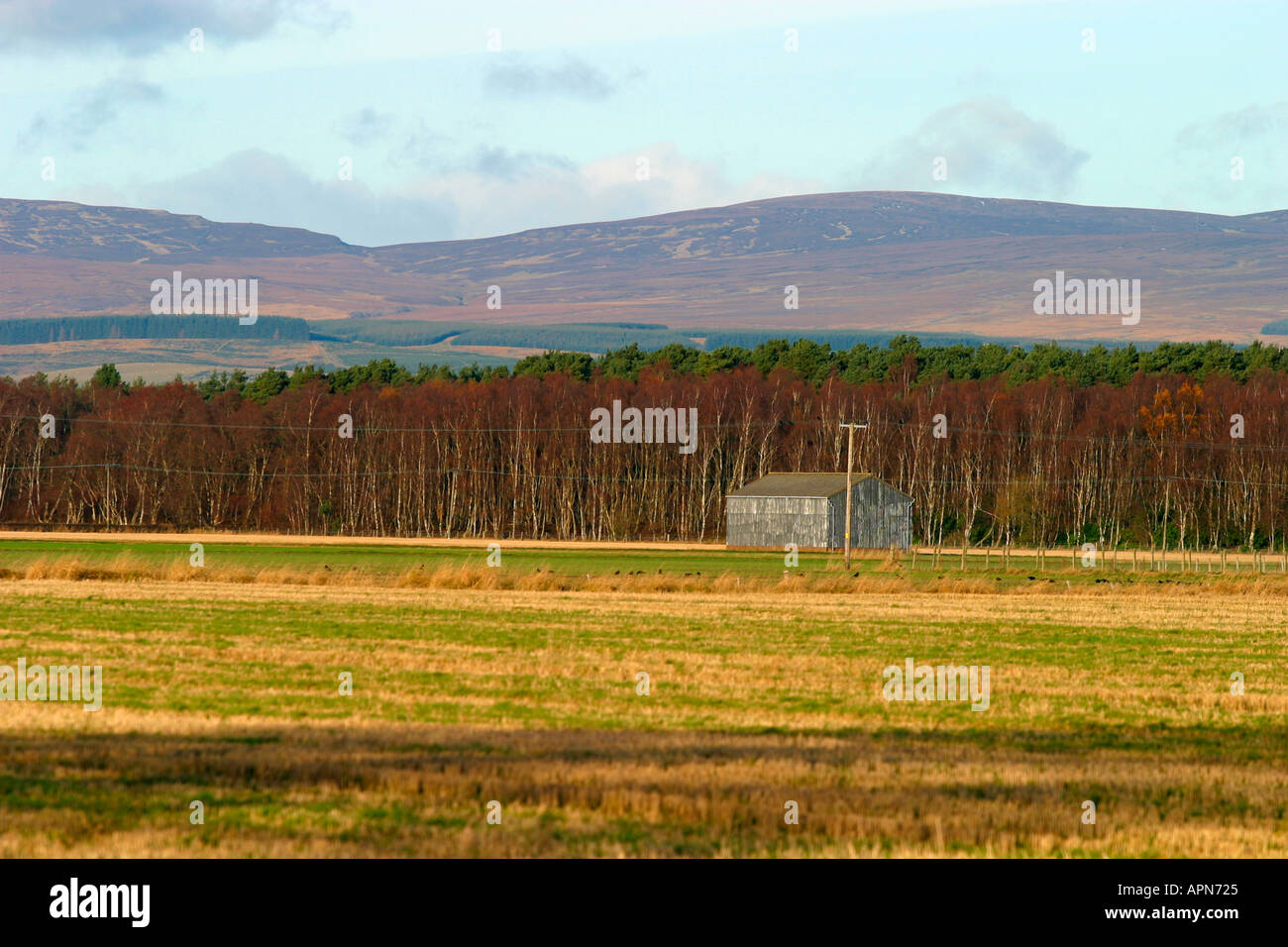 Central Scotland arable farming landscape Stock Photo - Alamy
