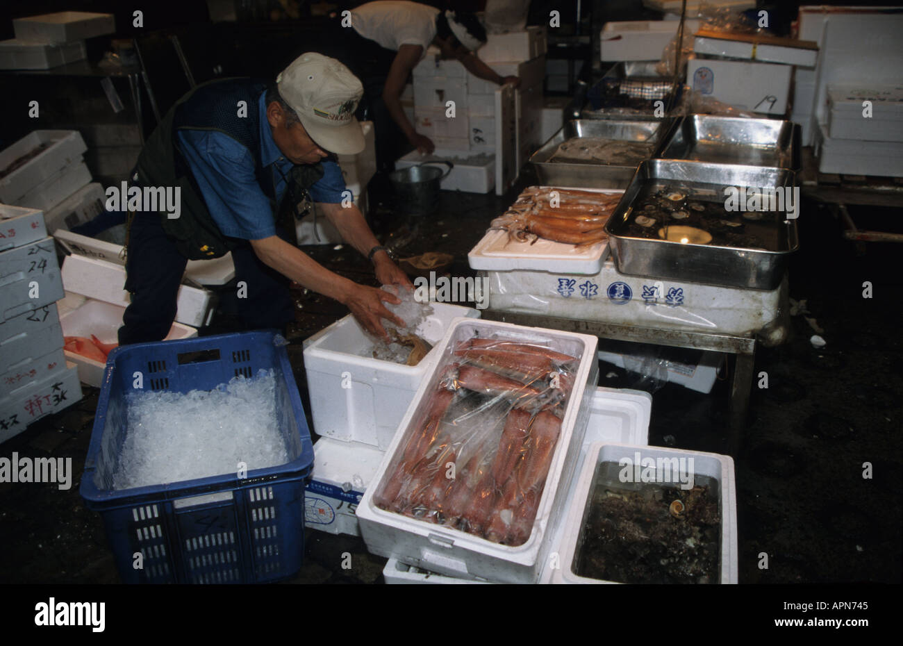 Packing fresh fish in Tsukiji Market Tokyo Japan Stock Photo - Alamy