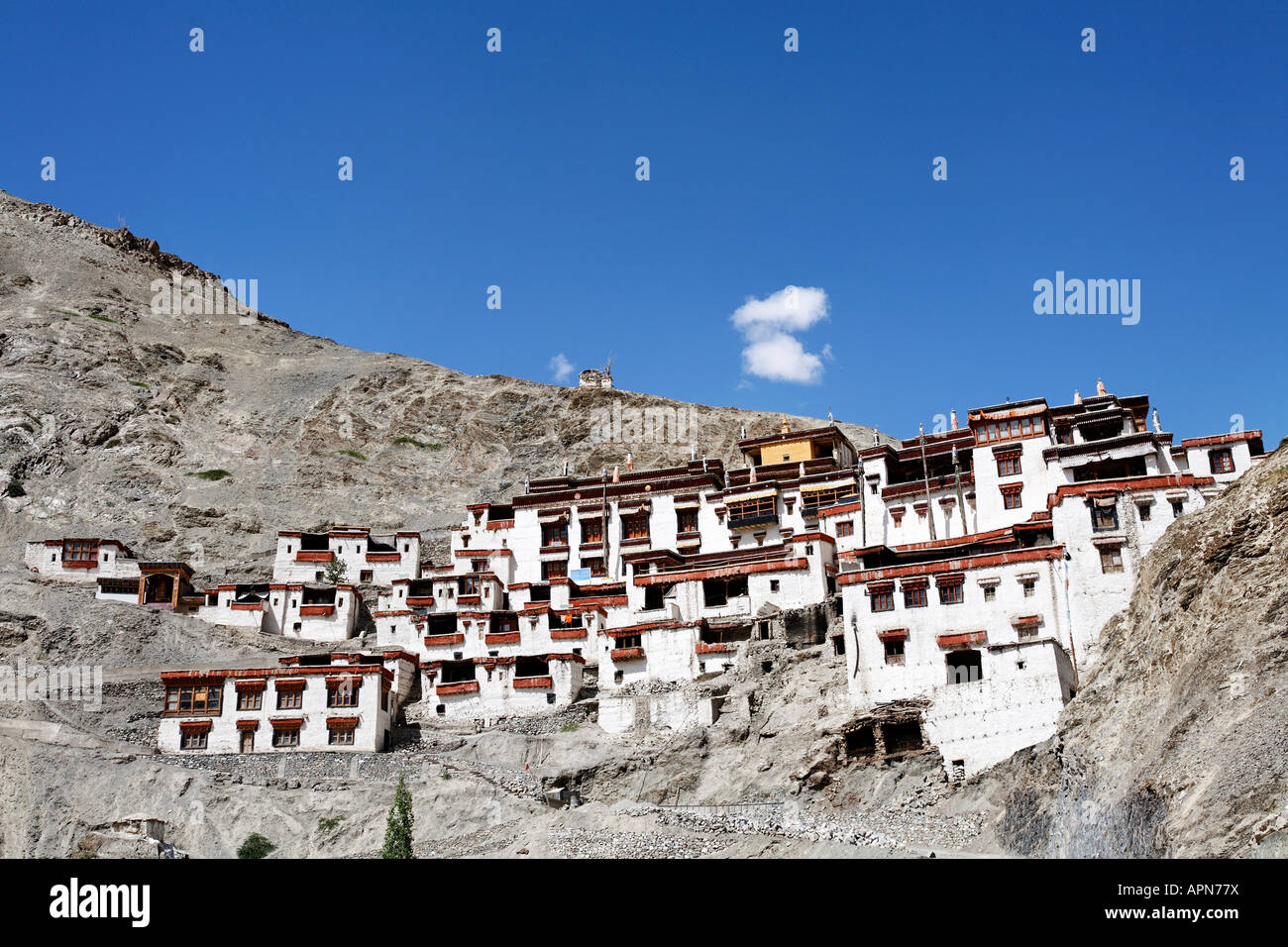 Rizong Gompa buddhist monastery in Ladakh India Stock Photo - Alamy
