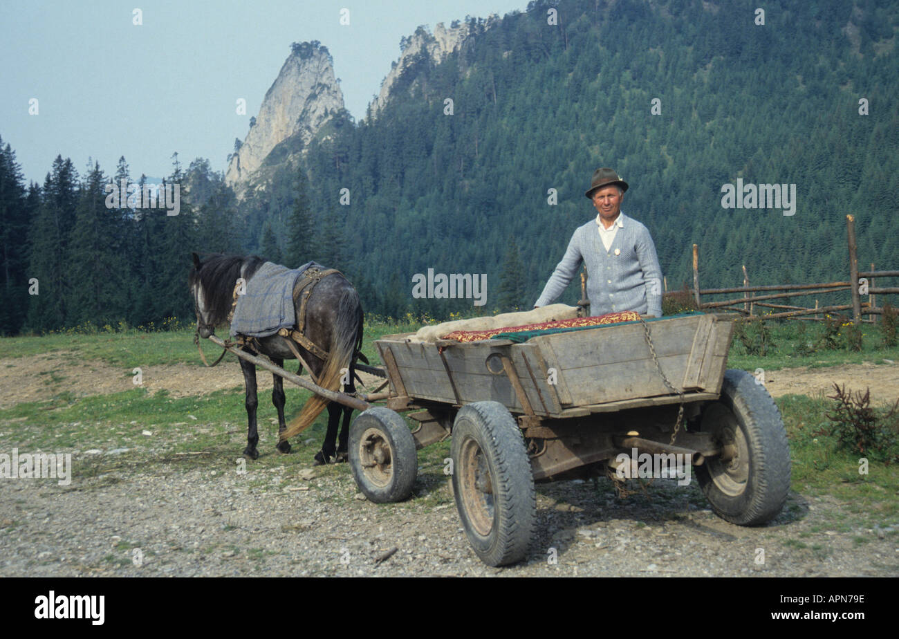Man in horse drawn cart hi-res stock photography and images - Alamy