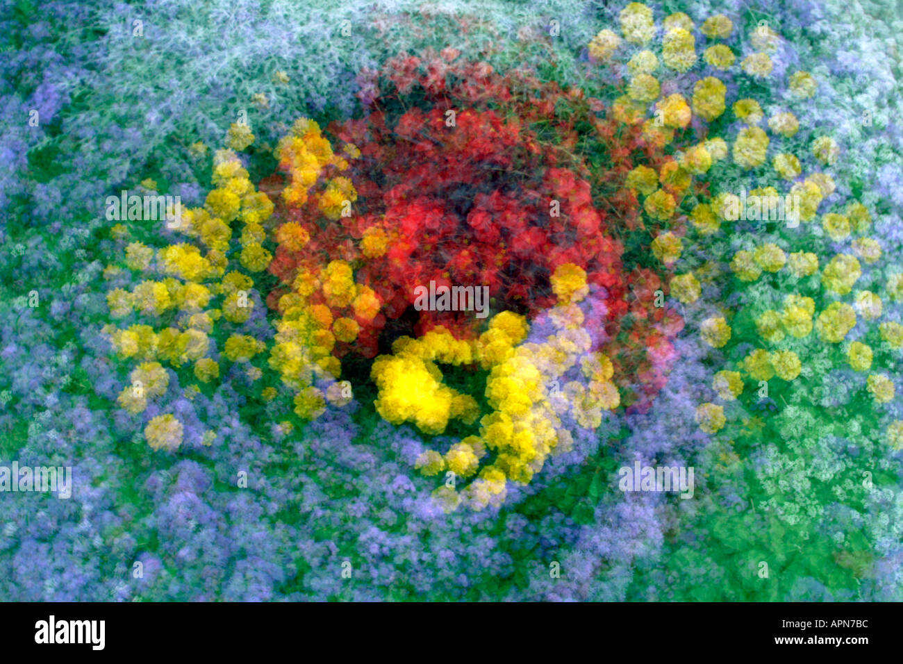 Circle of flowers hi-res stock photography and images - Alamy