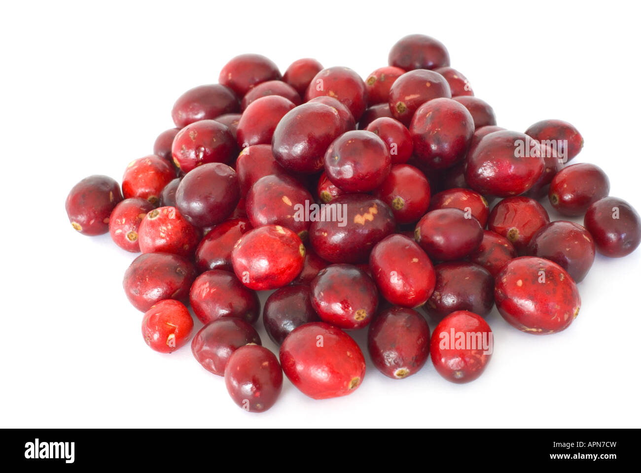 Fresh cranberries on white hi-res stock photography and images - Alamy