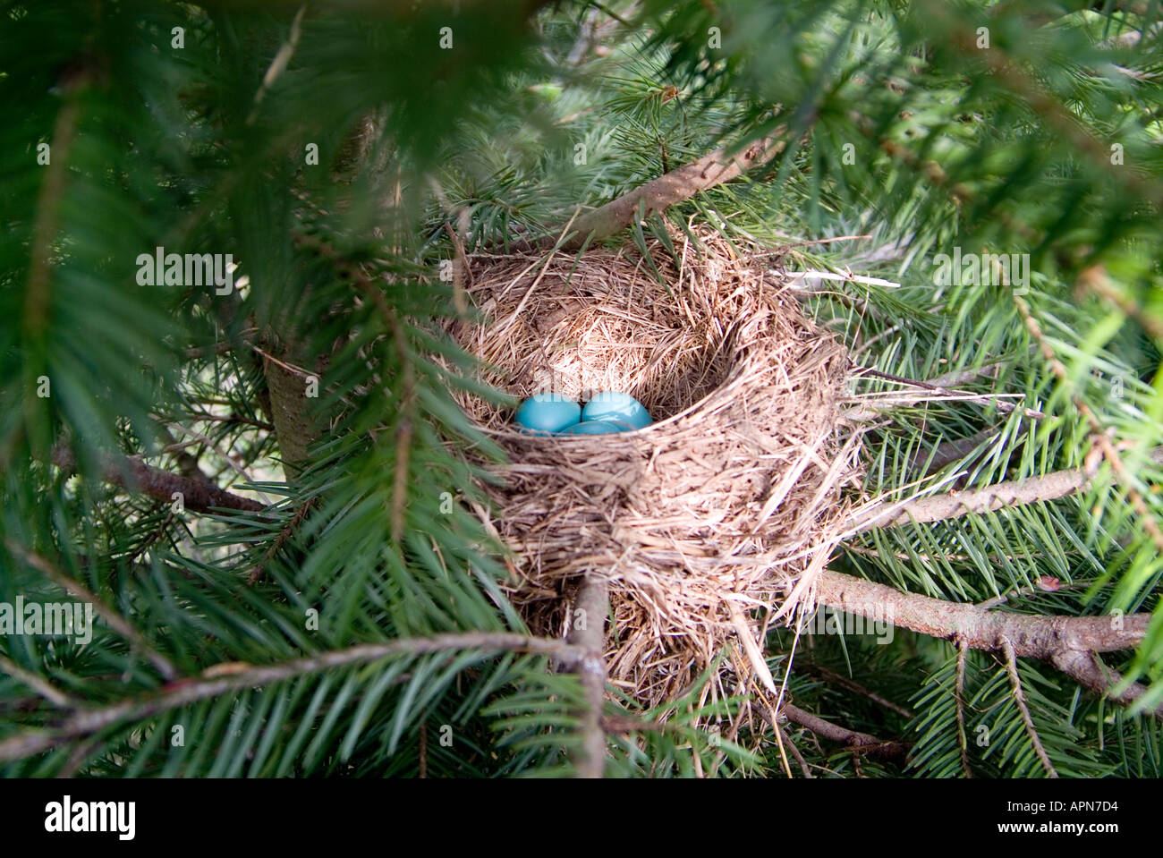 Home Sweet Home Stock Photo - Alamy
