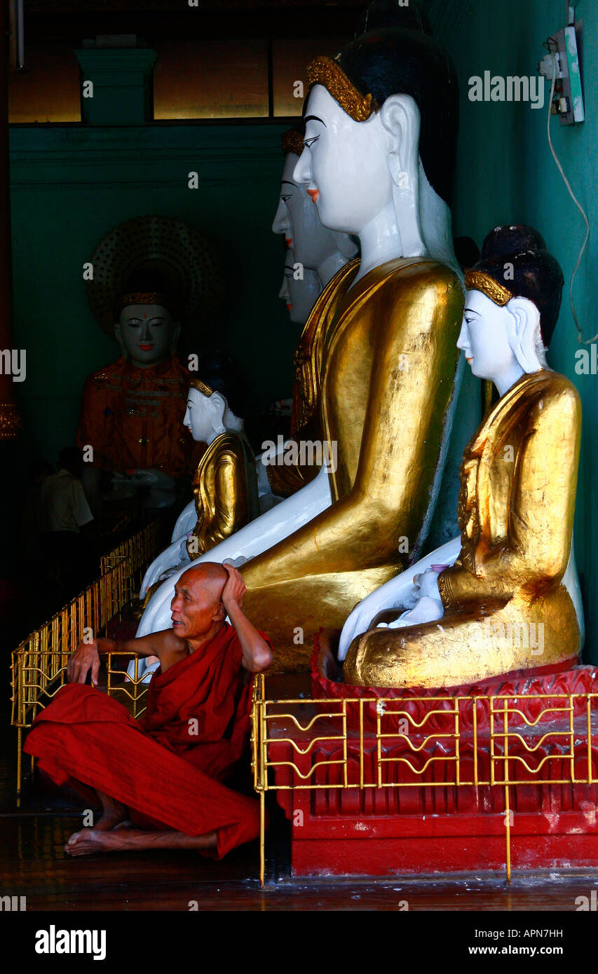 A monk amongst monks at the Shwedagon Pagoda in Rangoon (Yangon), Burma ...