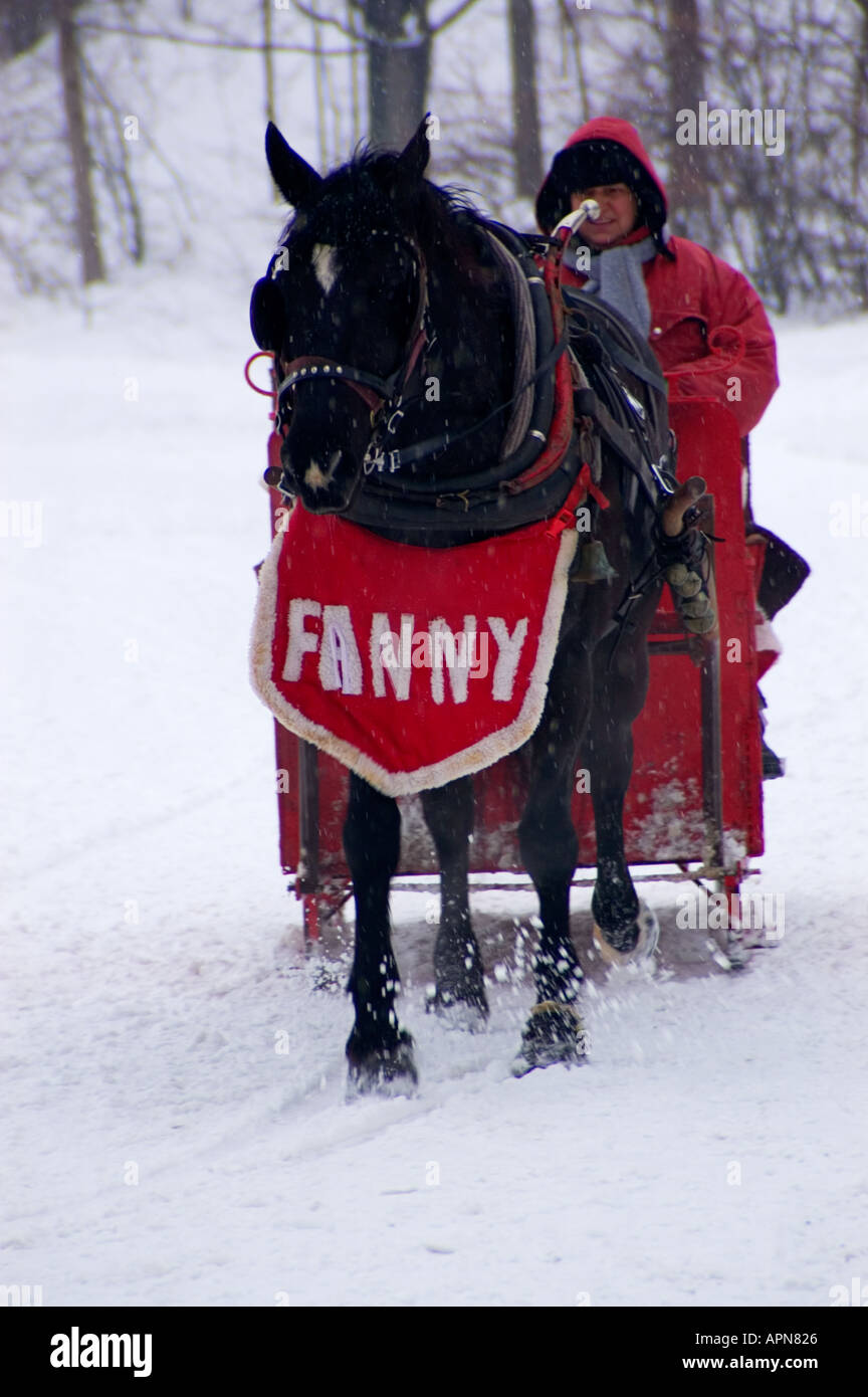 Mount Royal Park, Montreal, Quebec, Canada Stock Photo - Alamy