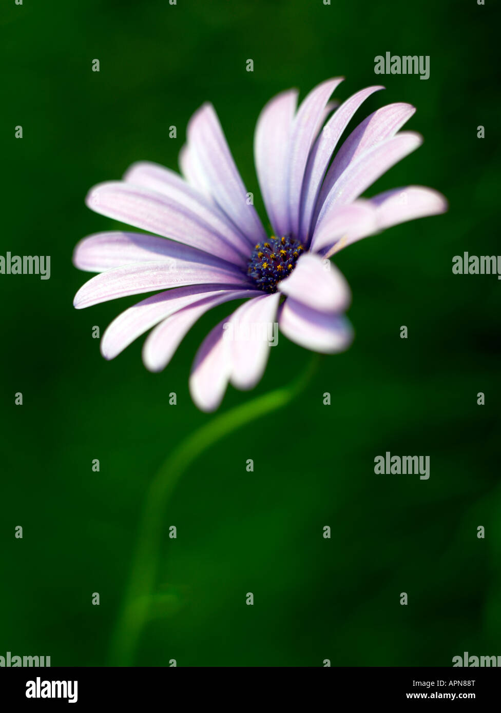 Outdoors concept conceptual metaphor metaphorical symbolic symbol ...