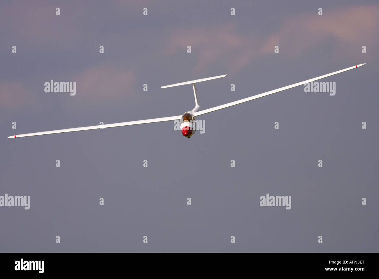 Radio controlled glider Stock Photo - Alamy