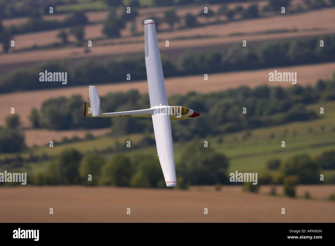 Radio controlled glider Stock Photo - Alamy