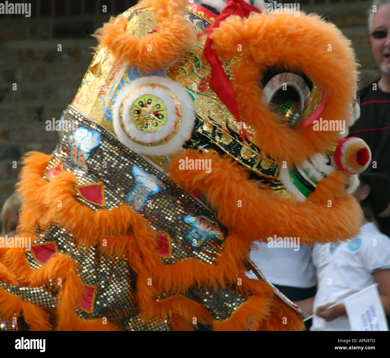 Chinese new year orange lion year of the pig Stock Photo - Alamy