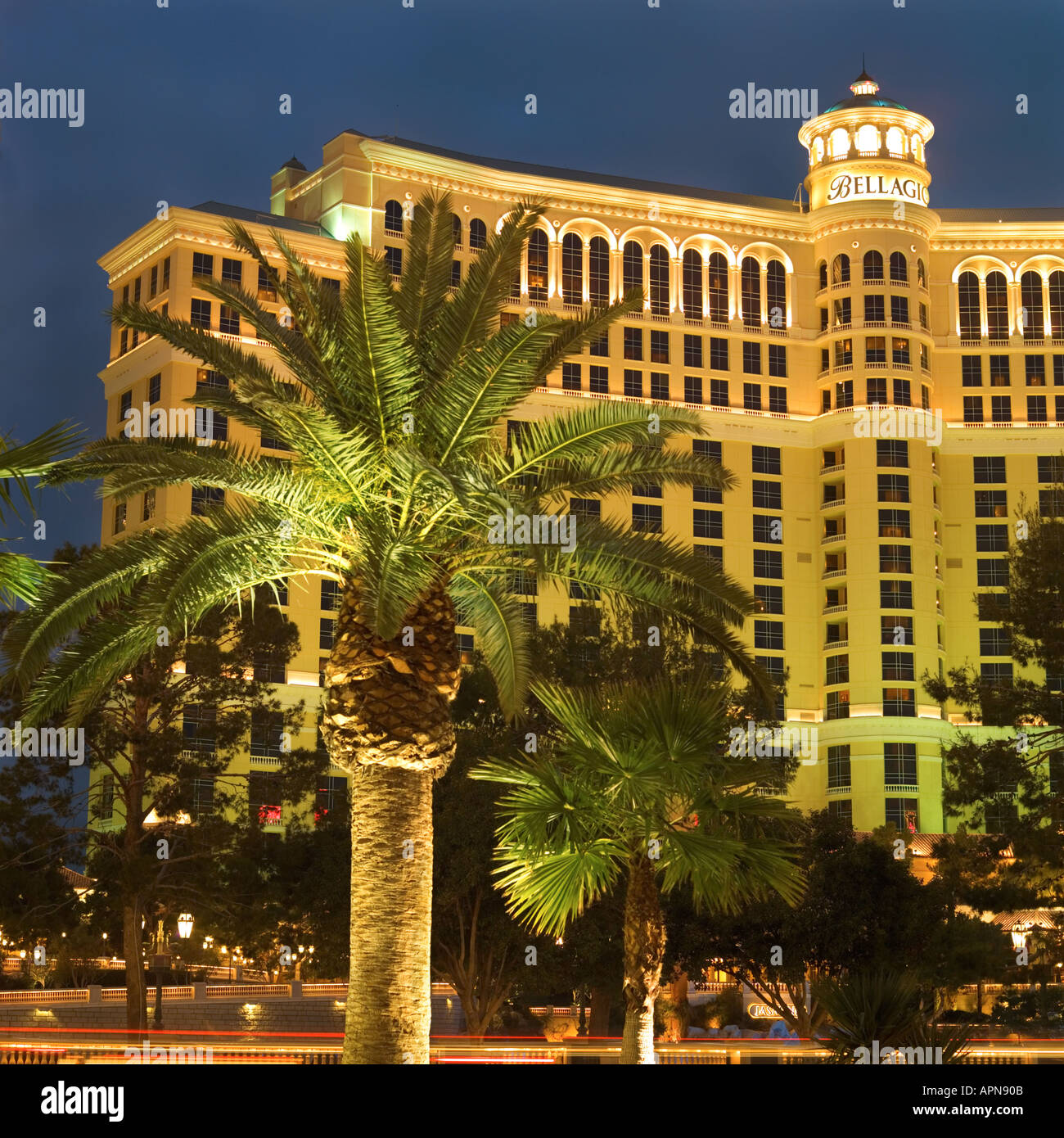 Palm Tree at Bellagio Las Vegas USA Stock Photo - Alamy