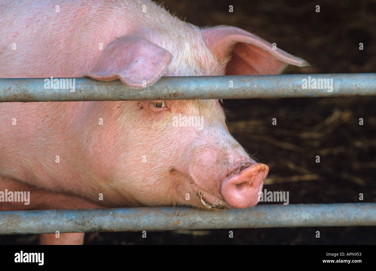 Commercal hi-res stock photography and images - Alamy