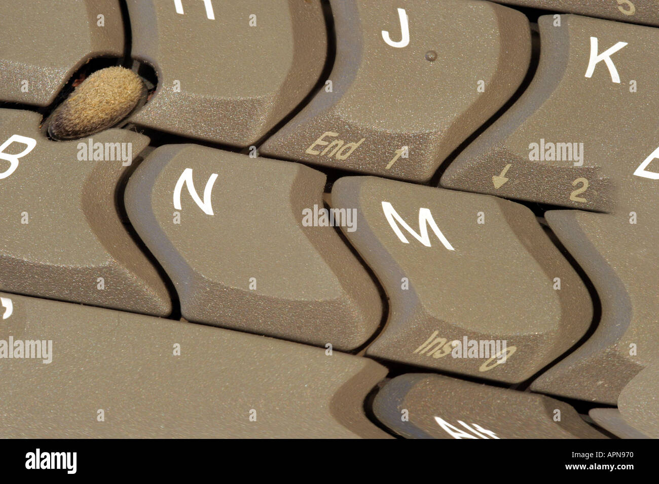 Distorted Computer keyboard Stock Photo - Alamy