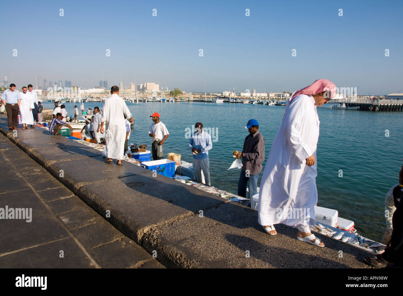 Middle east Qatar Doha harbour fish market Stock Photo - Alamy