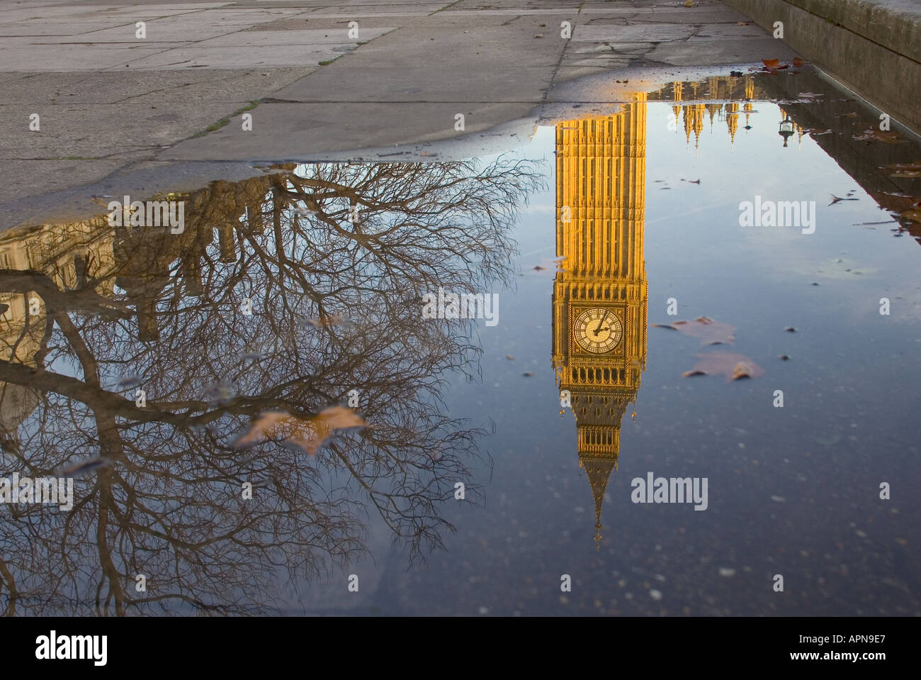 Big Ben London UK Reflected in puddle Stock Photo - Alamy