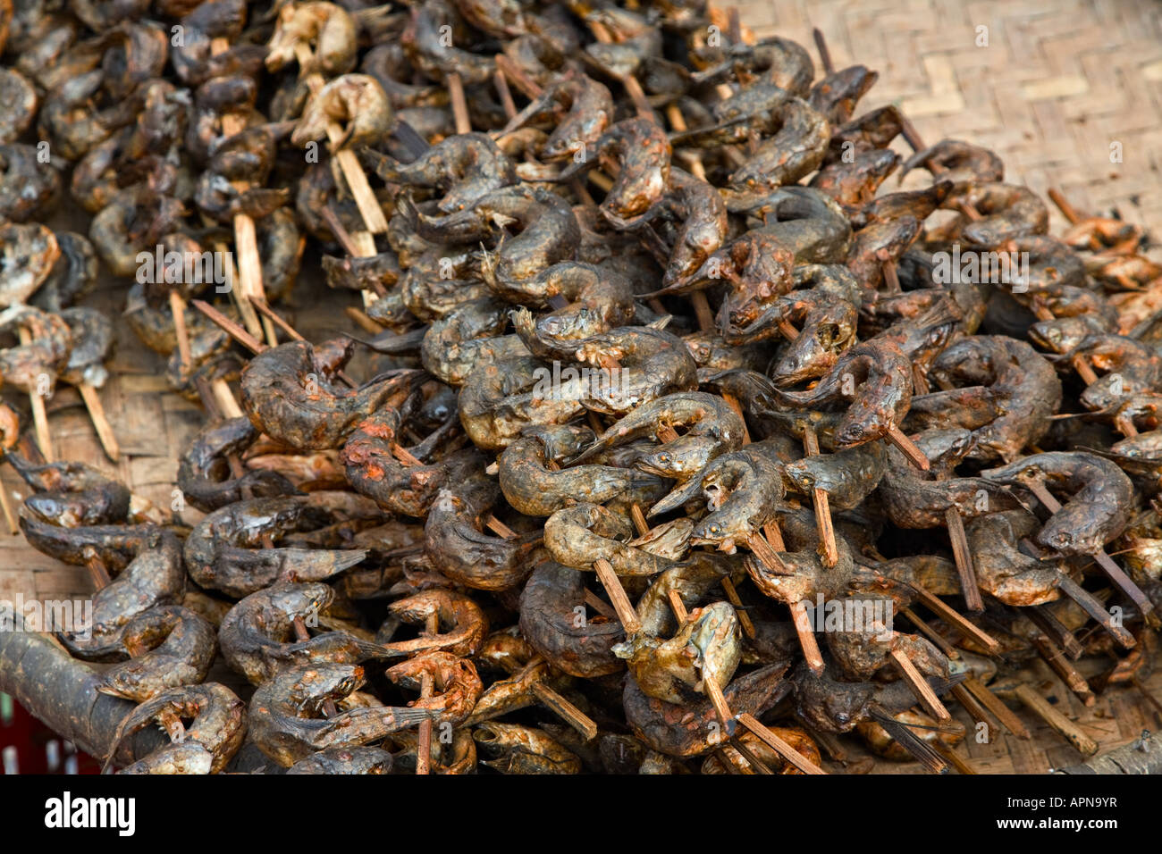 Smoked catfish, Durbar Square, Kathmandu, Nepal Stock Photo - Alamy