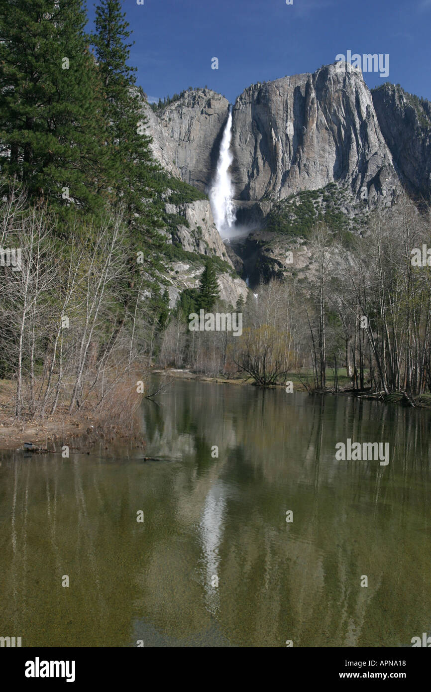 Fall vertical hi-res stock photography and images - Alamy