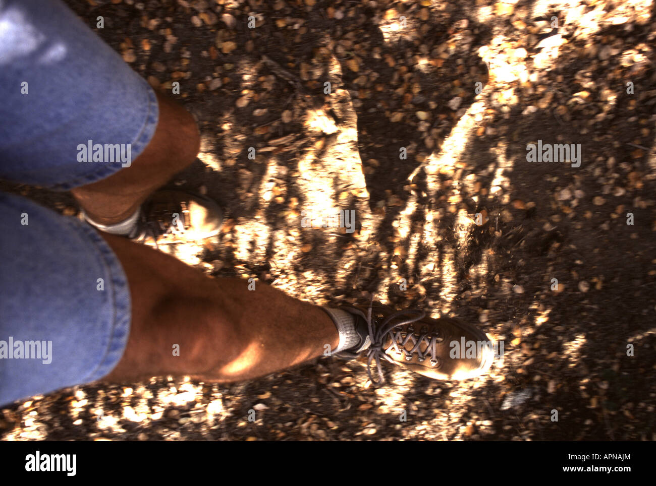 Good pair of legs hi-res stock photography and images - Alamy