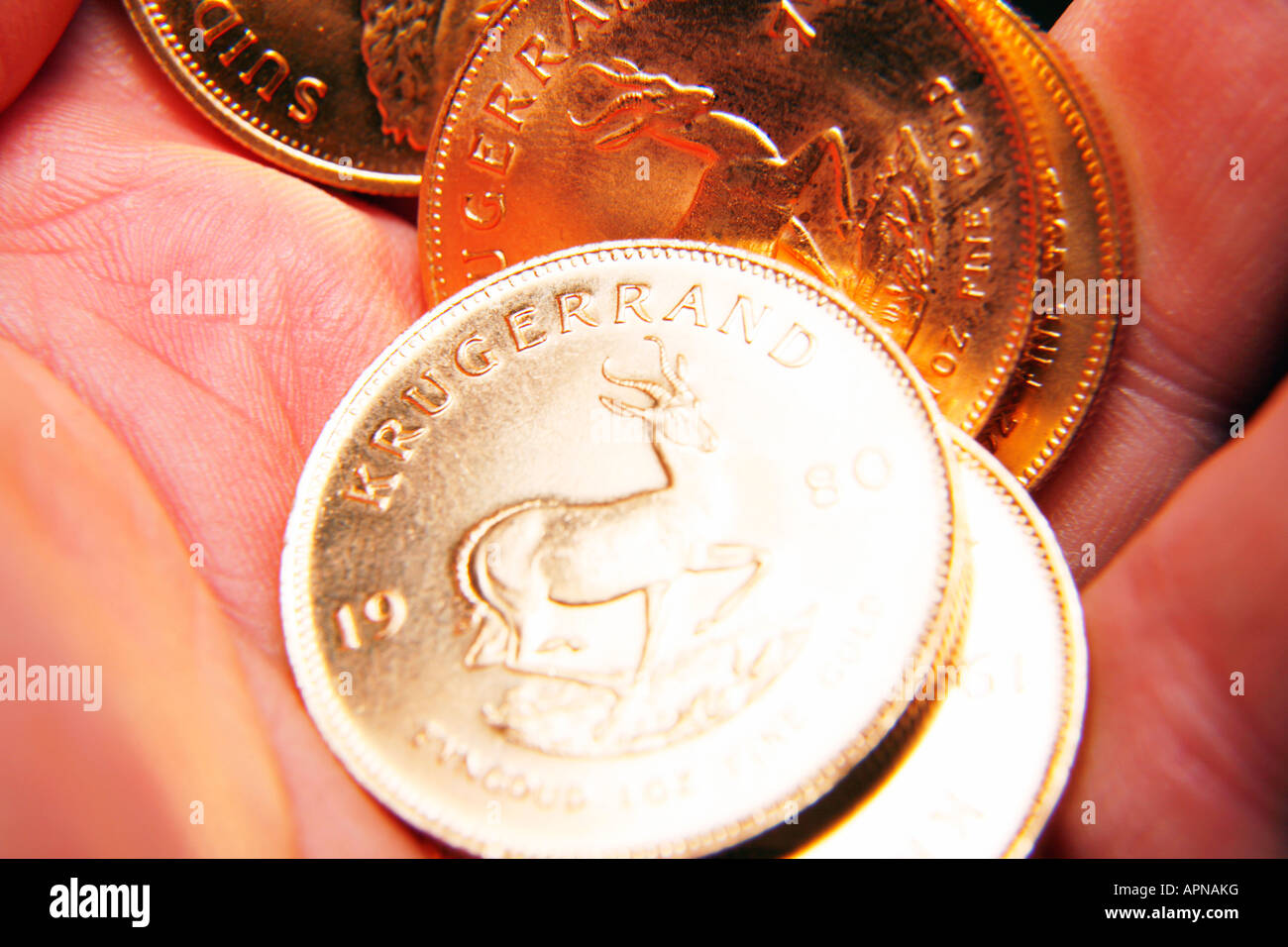 Krugerand 1 oz. pure gold coins Stock Photo - Alamy