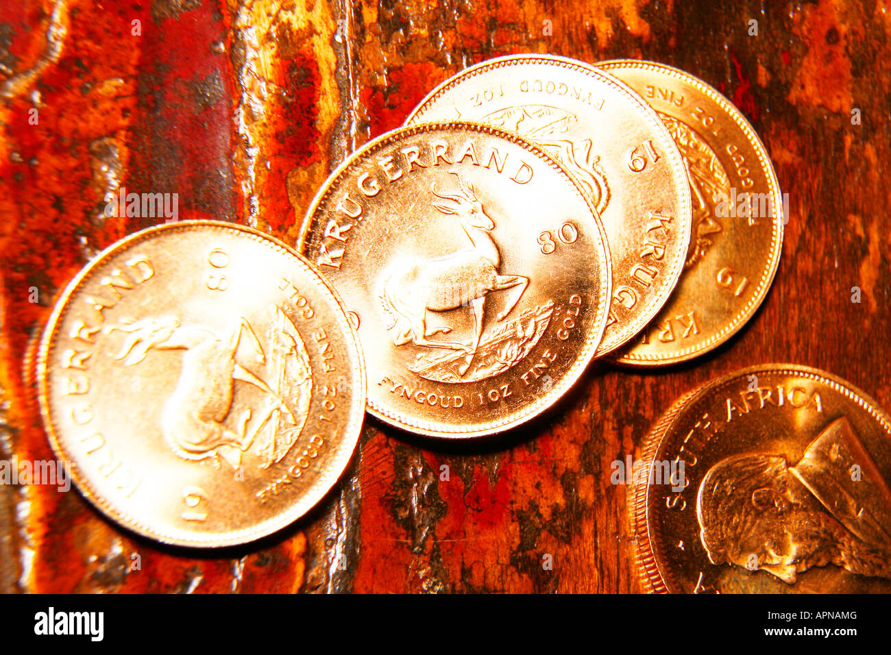 Krugerand 1 oz. pure gold coins Stock Photo - Alamy