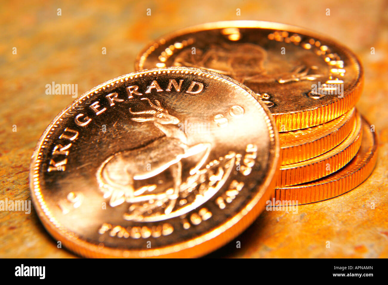 Krugerand 1 oz. pure gold coins Stock Photo - Alamy