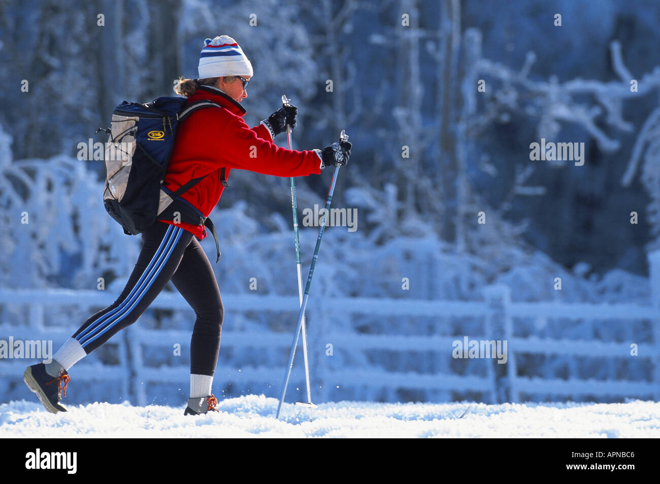 female cross-country skier, carrying backpack Stock Photo - Alamy