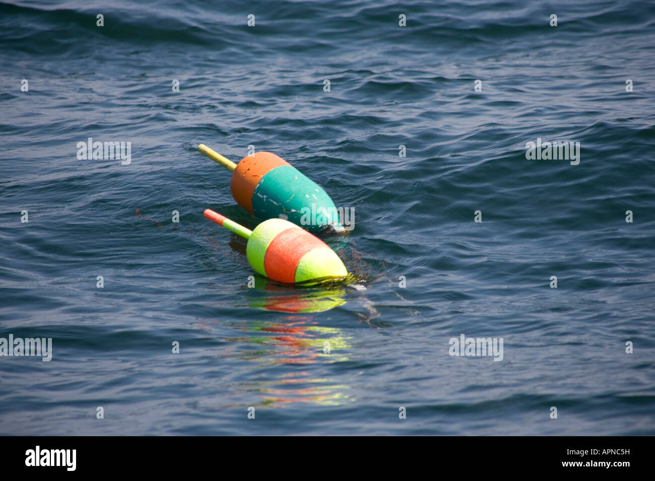 two lobster bouys float in ocean Stock Photo - Alamy